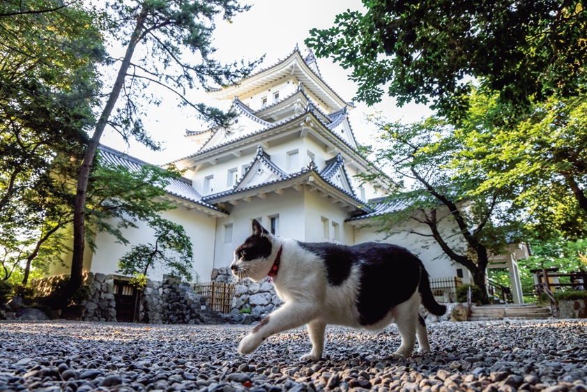 イベント情報・イベント詳細／大垣市スイトピアセンター
